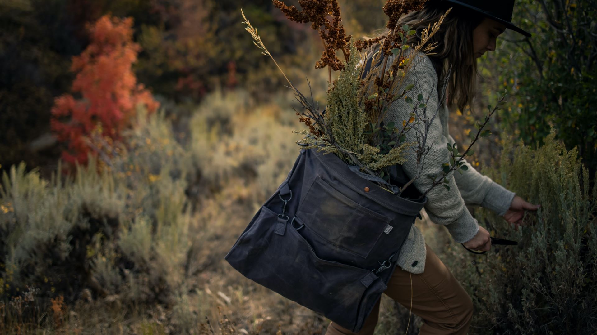 Wild Foraging Tips - Forage Sustainably | Barebones