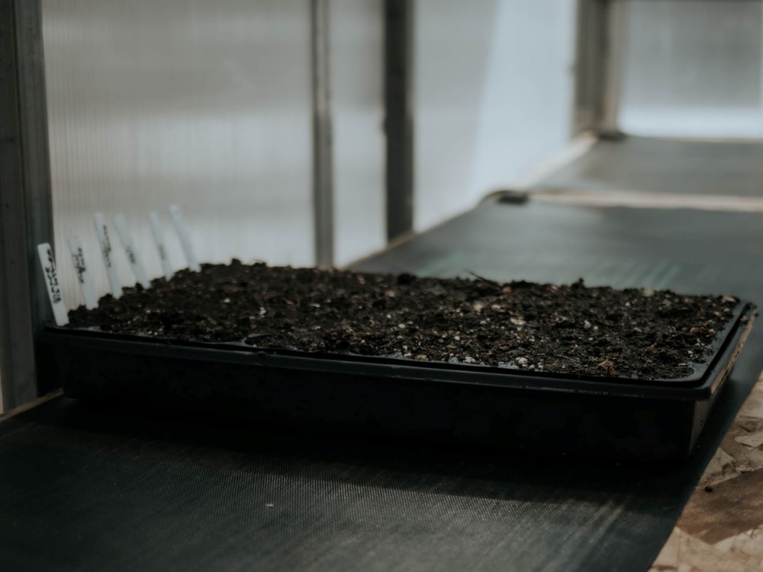 How To Start Seeds Indoors & Outside | Seed Starting 101 – Barebones