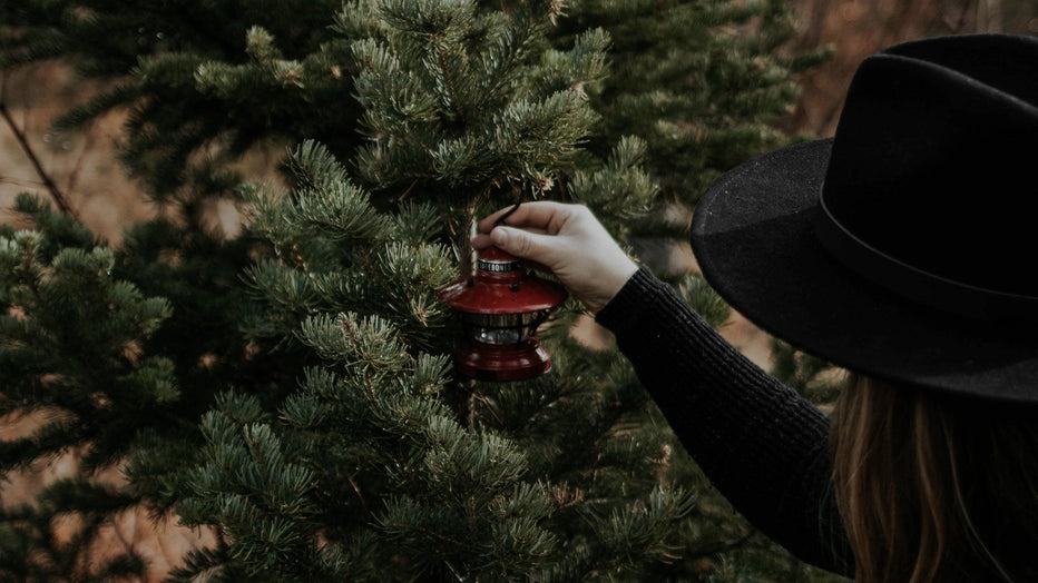 How To Select A Sustainable Christmas Tree | Barebones Living
