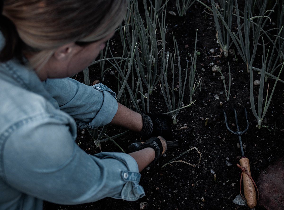 10 ways to prepare your garden for winter – Barebones