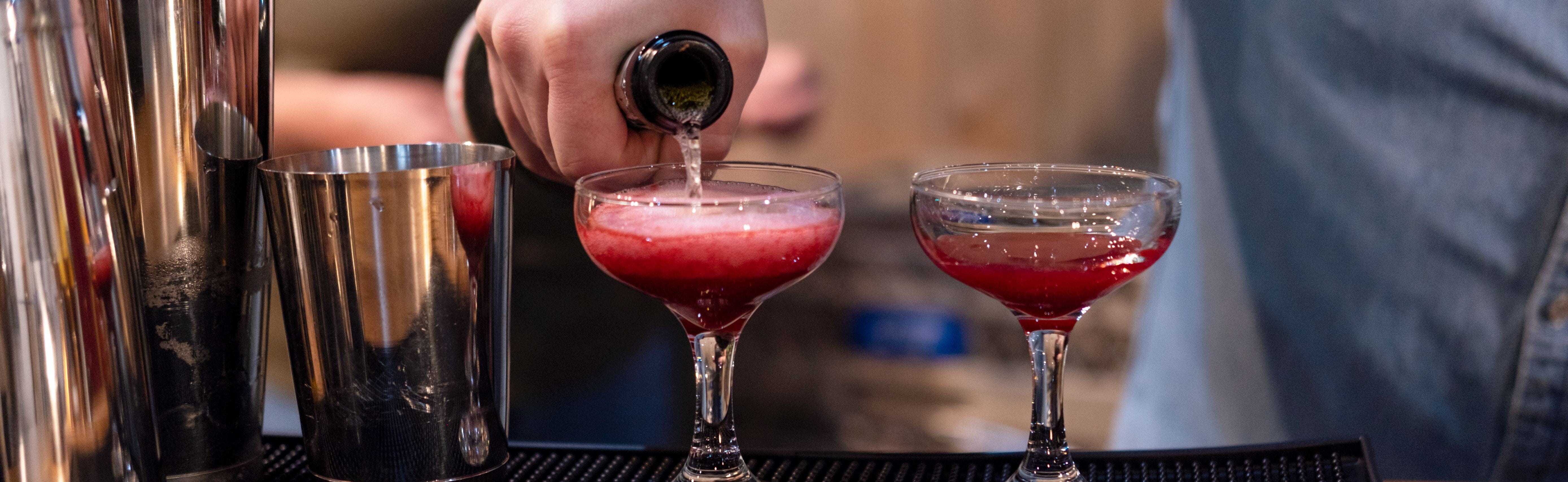 Brianna Madia - Dog-Inspired Winter Cocktails | Barebones