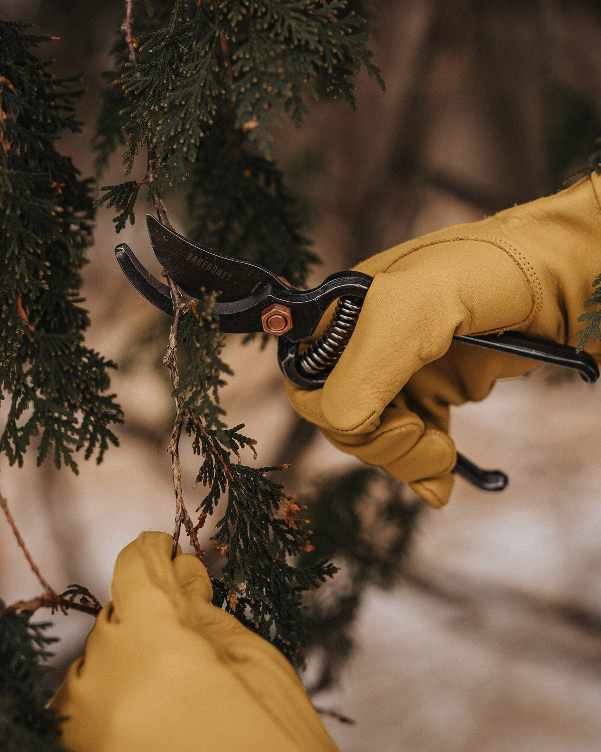 Top Foraging Tools for Outdoor Enthusiasts – Barebones
