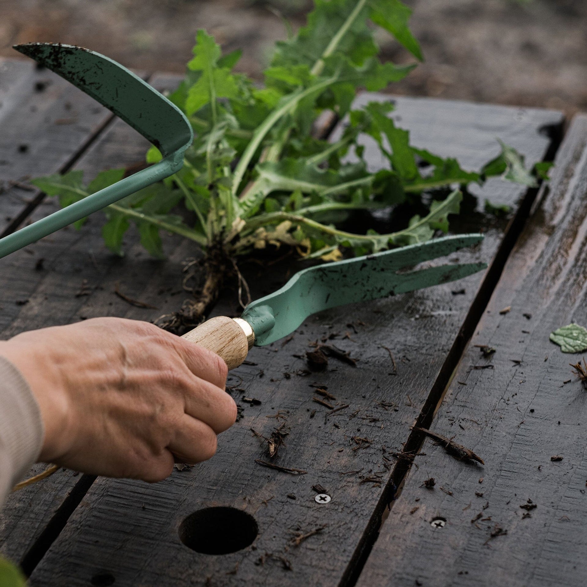 Barebones Dandelion Weeding Fork