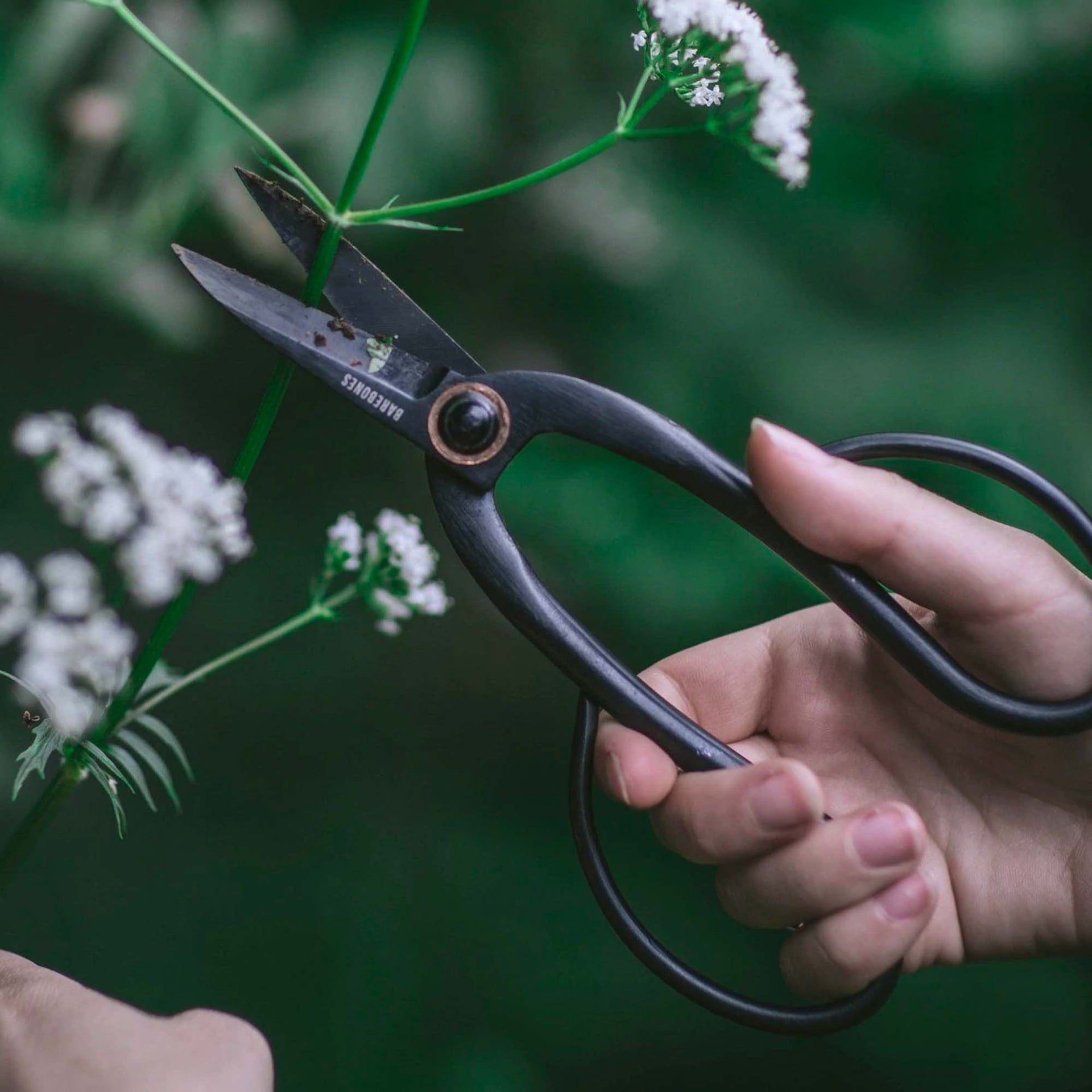 Barebones Artisan Pruning & Trimming Shears | Gardening Shears