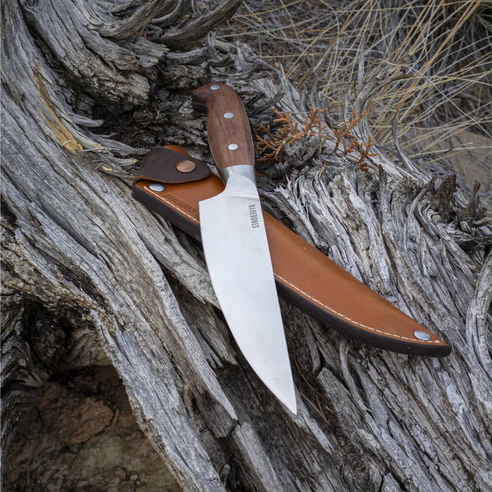 Wilderness Chef Knife | Barebones | Cooking Knife