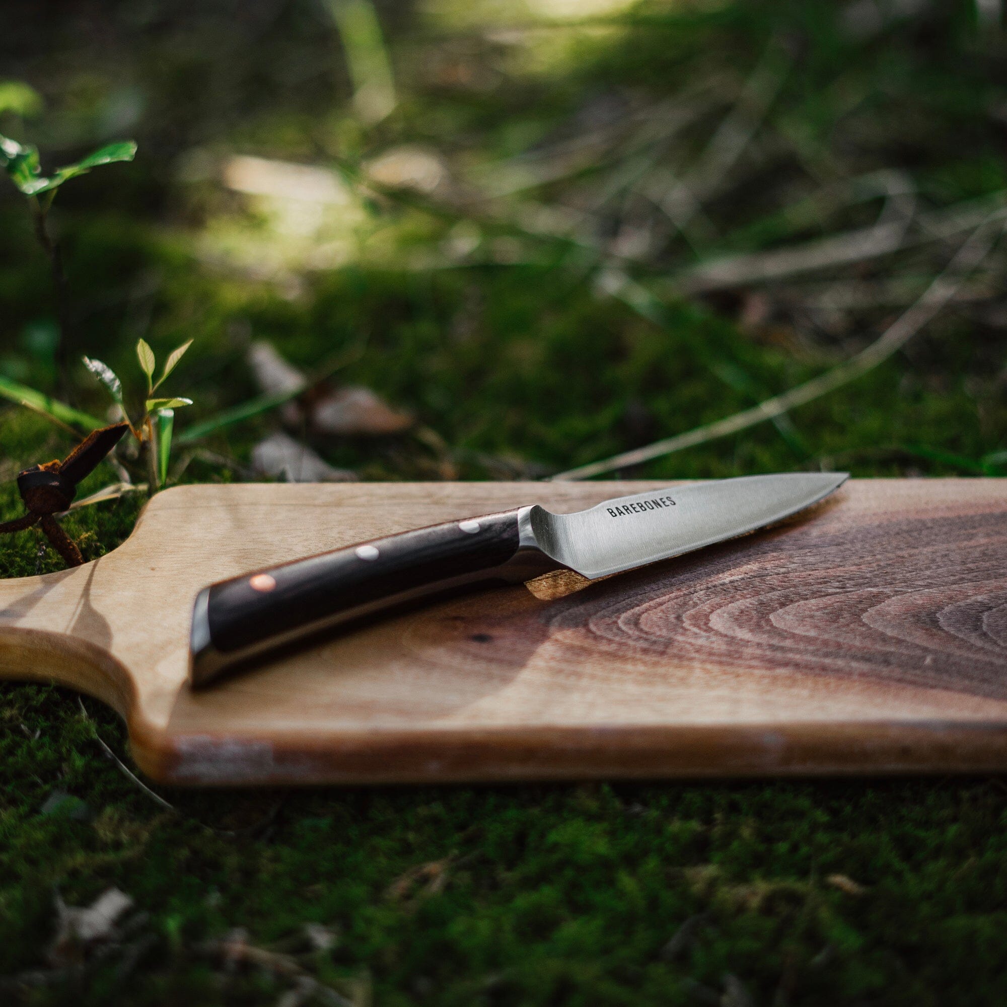 Culinary Chef Knife Set - Japanese-Inspired | Barebones