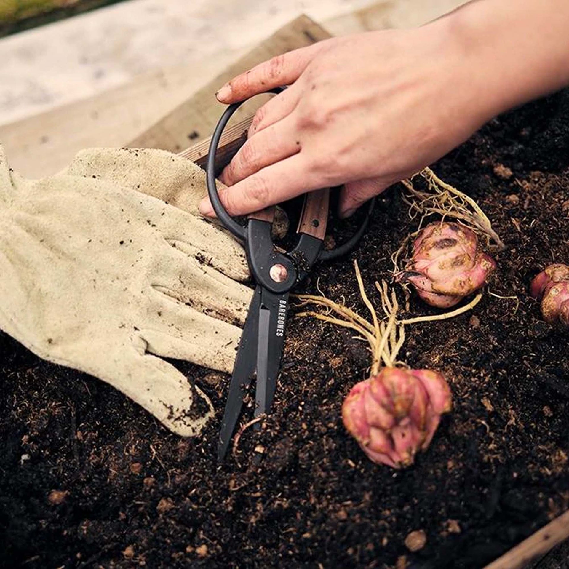 Barebones Walnut Garden Scissors