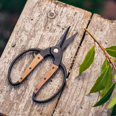 Barebones Walnut Garden Scissors