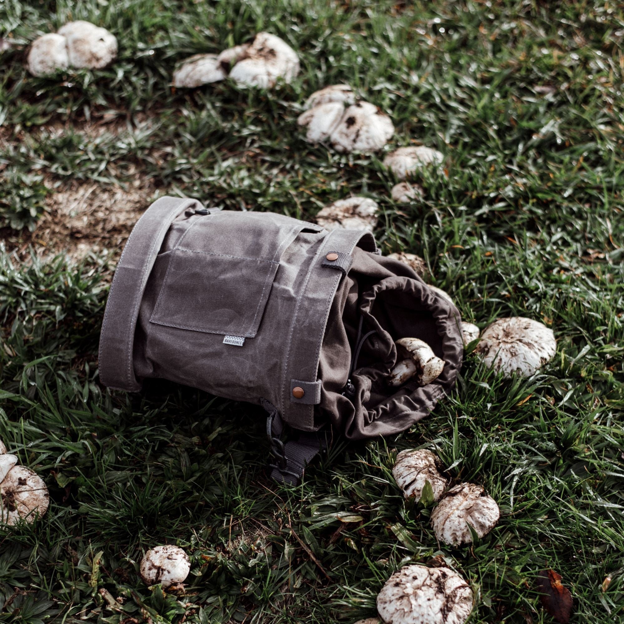 Foraging Bag - Durable Waxed Canvas | Barebones Living