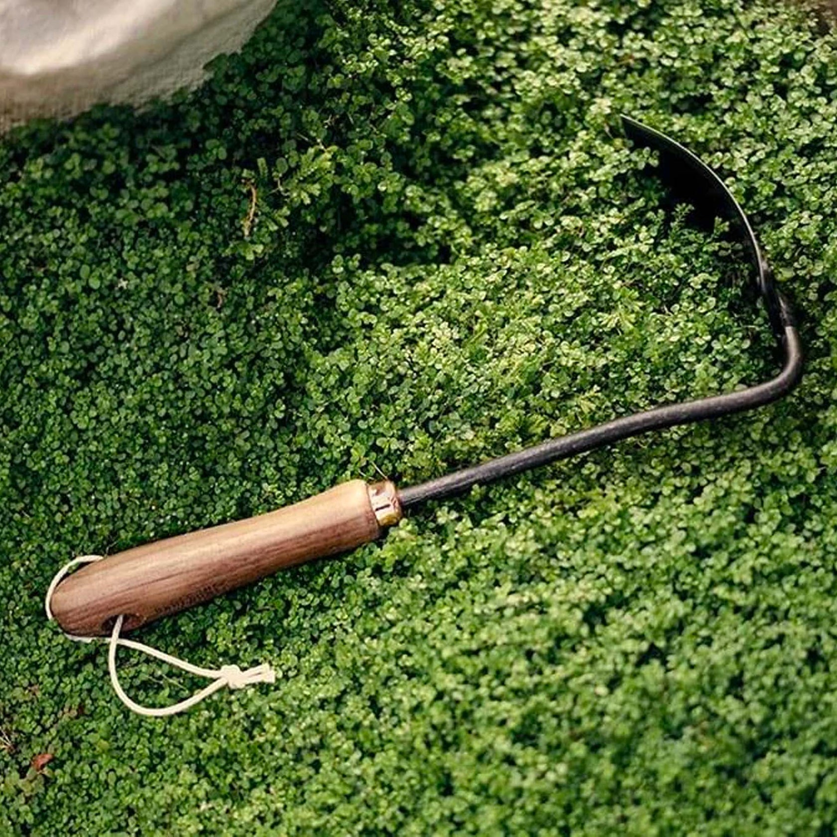 Square Hoe - Rust Resistant Stainless Steel | Barebones